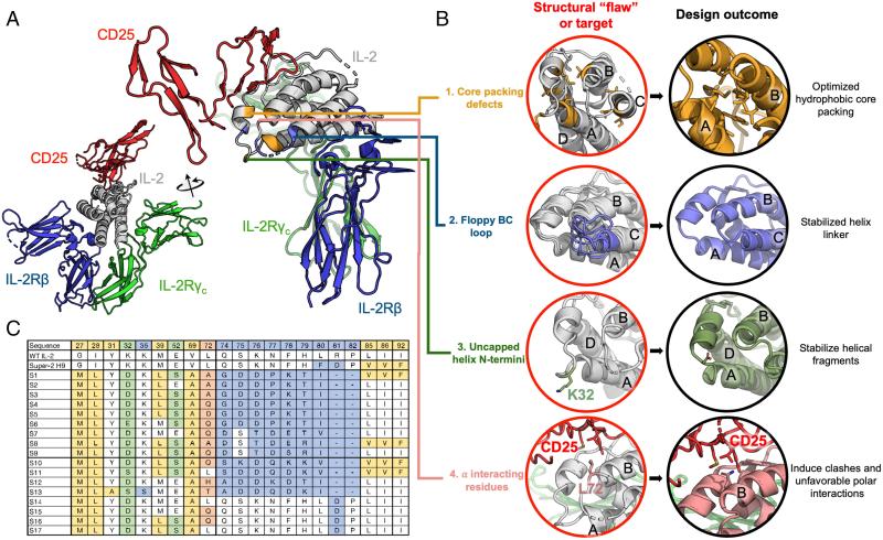 Debajyoti Dutta on LinkedIn: Interleukin-2 superkines by computational ... Debajyoti Dutta on LinkedIn: Interleukin-2 superkines by computational ...
