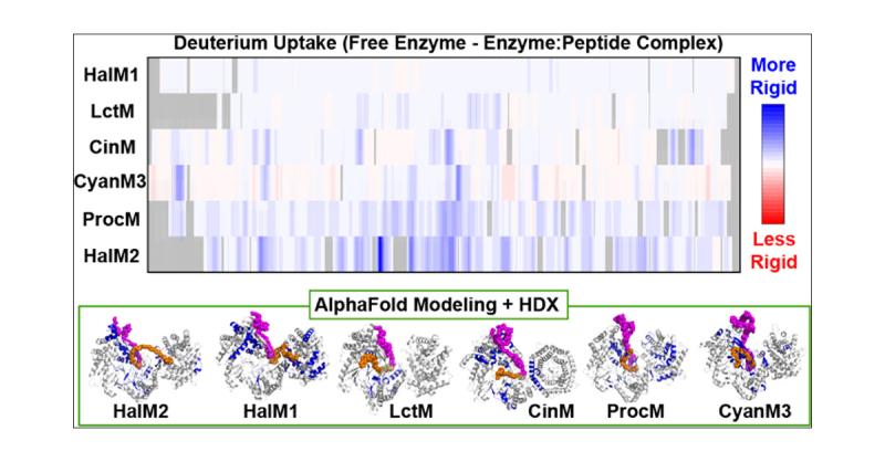 Annie Shao on LinkedIn: I’m excited to have my first publication! Annie Shao on LinkedIn: I’m excited to have my first publication!