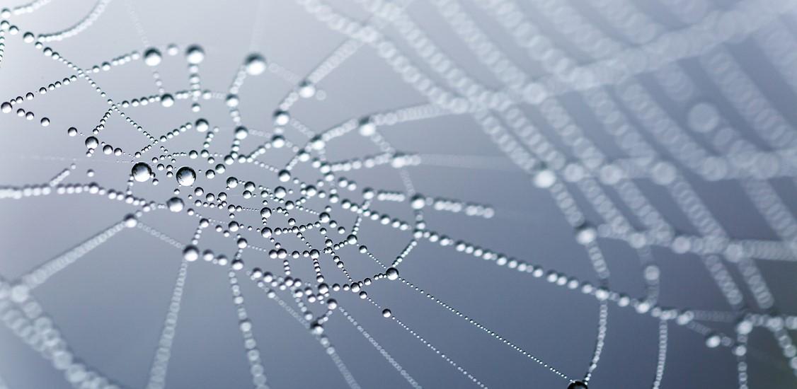 Software Defined Networking - SDN on LinkedIn: How to Build Stronger ... Software Defined Networking - SDN on LinkedIn: How to Build Stronger ...