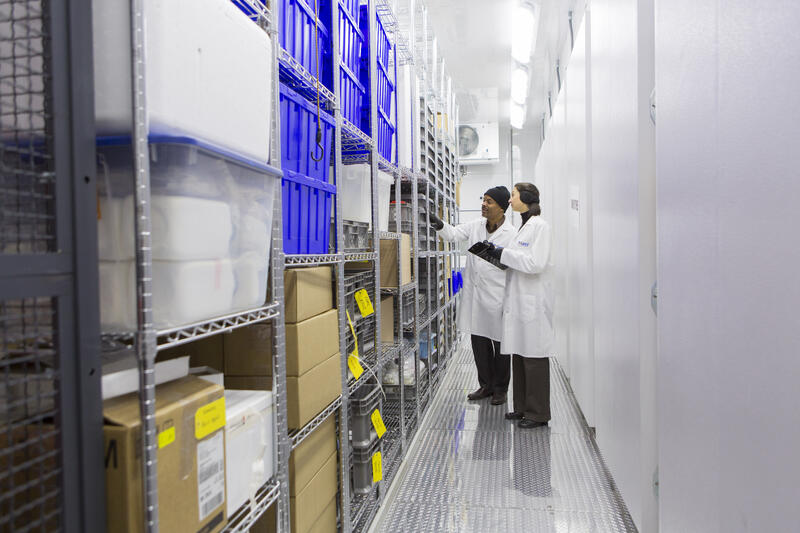 David Vogt on LinkedIn: Off-Site cGMP Biostorage | Masy BioServices David Vogt on LinkedIn: Off-Site cGMP Biostorage | Masy BioServices