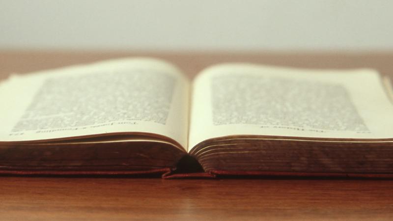 Allison Dubanoski, MBA on LinkedIn: The Surprising Power of Reading ... Allison Dubanoski, MBA on LinkedIn: The Surprising Power of Reading ...