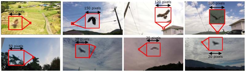 Yuki Kondo on LinkedIn: Small Object Detection Challenge for Spotting ... Yuki Kondo on LinkedIn: Small Object Detection Challenge for Spotting ...