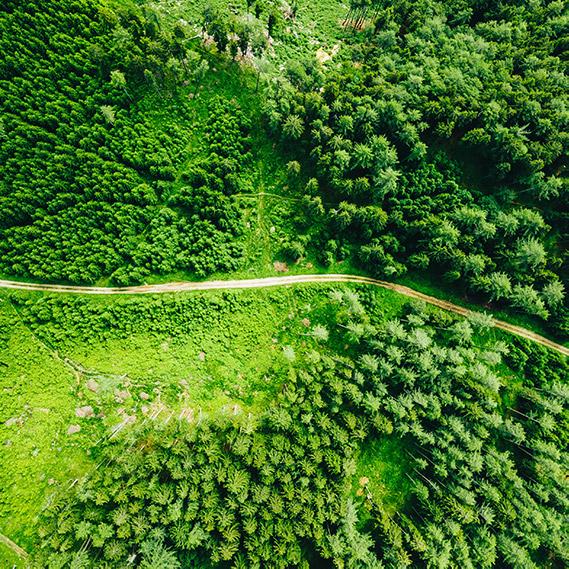 Thomas Zampino on LinkedIn: Hogan Lovells - Global law firm operating ... Thomas Zampino on LinkedIn: Hogan Lovells - Global law firm operating ...