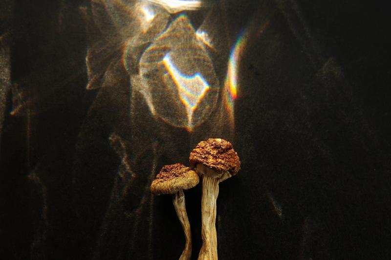 Dr Andrew MacLean Pagon MD PhD on LinkedIn: Why Psychedelic Events Will ... Dr Andrew MacLean Pagon MD PhD on LinkedIn: Why Psychedelic Events Will ...