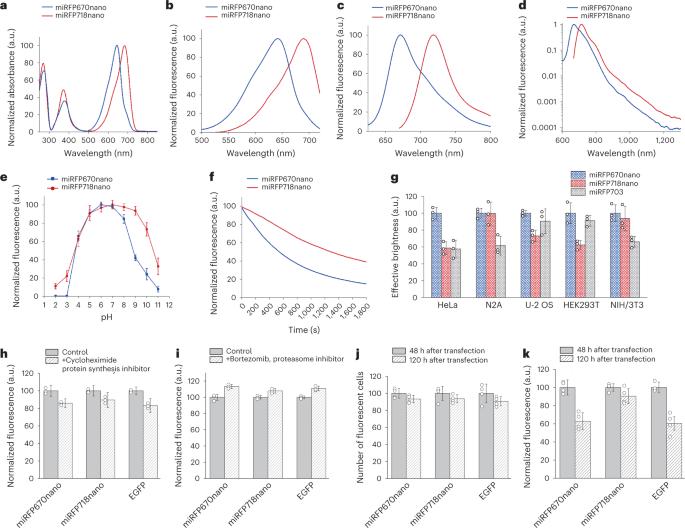 Great paper about a new near infrared fluorescent protein miRFP728nano ... Great paper about a new near infrared fluorescent protein miRFP728nano ...