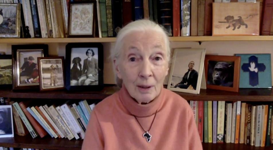 Amy B Heinkel on LinkedIn: ‘We have disrespected animals and ... Amy B Heinkel on LinkedIn: ‘We have disrespected animals and ...