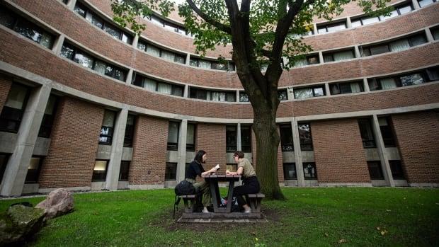 Why universities are failing to prepare students for the job market ... Why universities are failing to prepare students for the job market ...