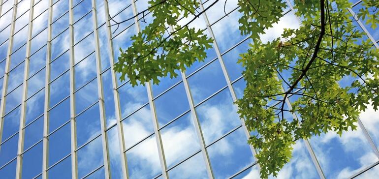 Jay Olos on LinkedIn: Why CFOs should lead the way on sustainability Jay Olos on LinkedIn: Why CFOs should lead the way on sustainability