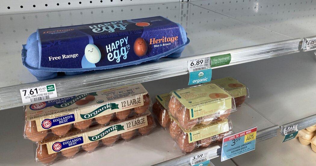 Brandi Castillo, MBA on LinkedIn: Can You Find Eggs Here or There? Can ... Brandi Castillo, MBA on LinkedIn: Can You Find Eggs Here or There? Can ...