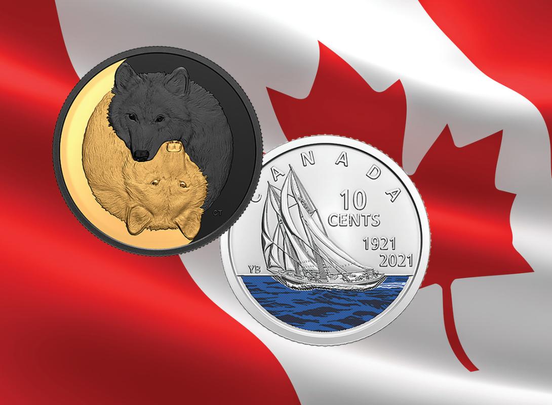 Lawrence Davies LLM on LinkedIn: Canada Dominates in COTY Category Wins Lawrence Davies LLM on LinkedIn: Canada Dominates in COTY Category Wins