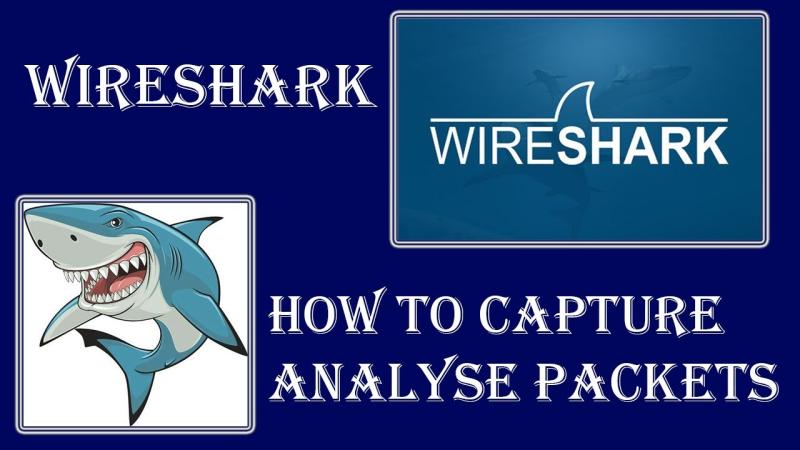 TLina Tutorials on LinkedIn: How to capture packets and how to analyze ... TLina Tutorials on LinkedIn: How to capture packets and how to analyze ...