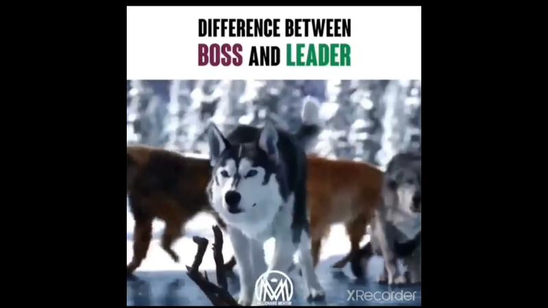 BALAJI N BACHU on LinkedIn: difference between boss and leader BALAJI N BACHU on LinkedIn: difference between boss and leader