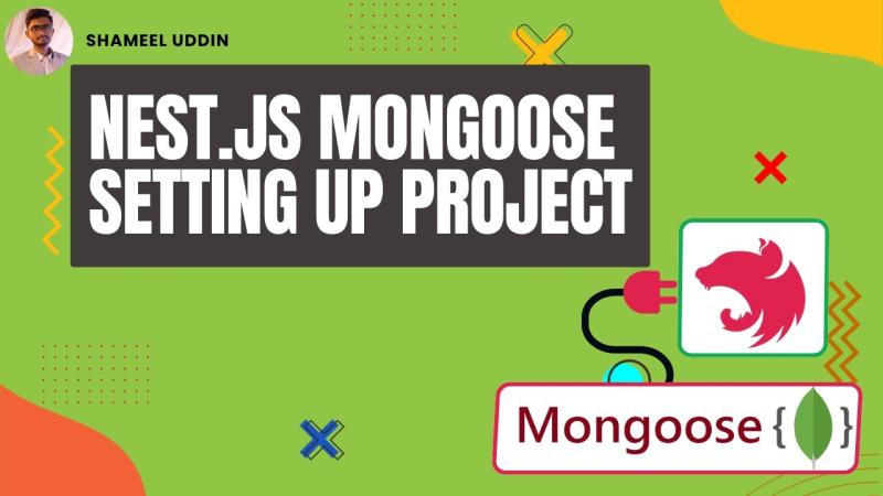 Shameel Uddin on LinkedIn: Nestjs Mongoose Tutorial #2 | Setting up Project Shameel Uddin on LinkedIn: Nestjs Mongoose Tutorial #2 | Setting up Project