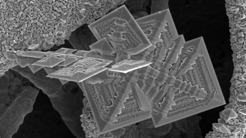 Rubem Didini on LinkedIn: Princeton Engineering - Researchers harness ... Rubem Didini on LinkedIn: Princeton Engineering - Researchers harness ...