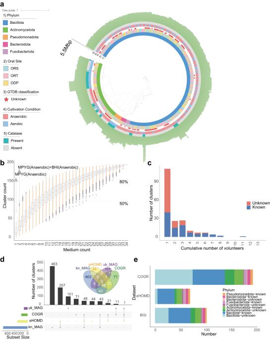 A catalog of bacterial reference genomes from cultivated human oral ... A catalog of bacterial reference genomes from cultivated human oral ...