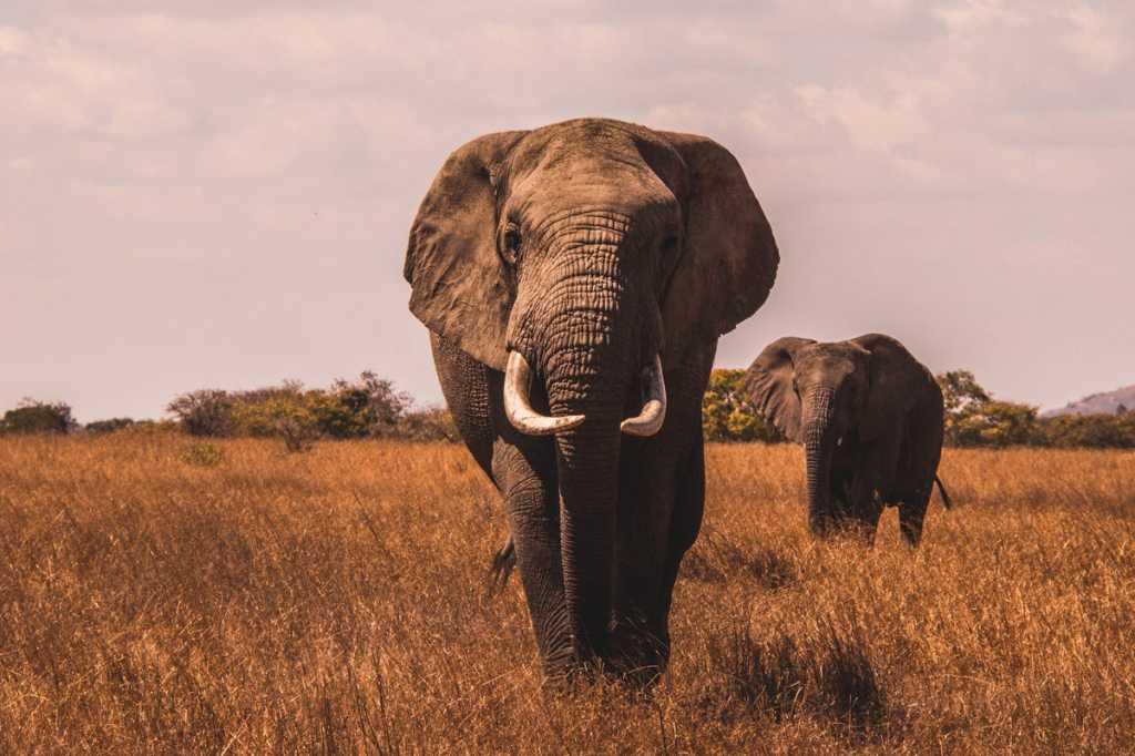 Andrey Tass on LinkedIn: PostgreSQL tutorial: Get started with ... Andrey Tass on LinkedIn: PostgreSQL tutorial: Get started with ...
