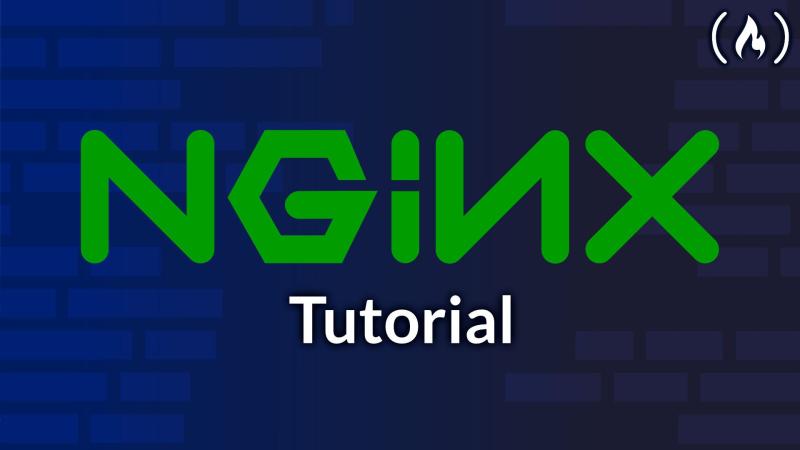 Free code camp: NGINX tutorial for devops | Masud Al Imran posted on ... Free code camp: NGINX tutorial for devops | Masud Al Imran posted on ...