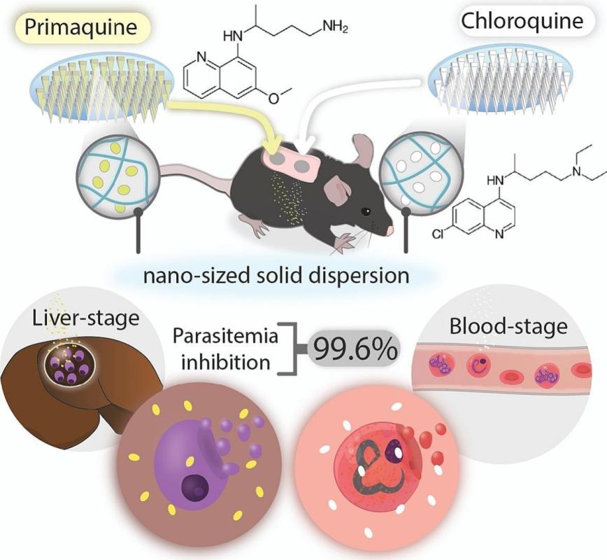 Philippe Tschopp on LinkedIn: Primaquine and chloroquine nano-sized ... Philippe Tschopp on LinkedIn: Primaquine and chloroquine nano-sized ...