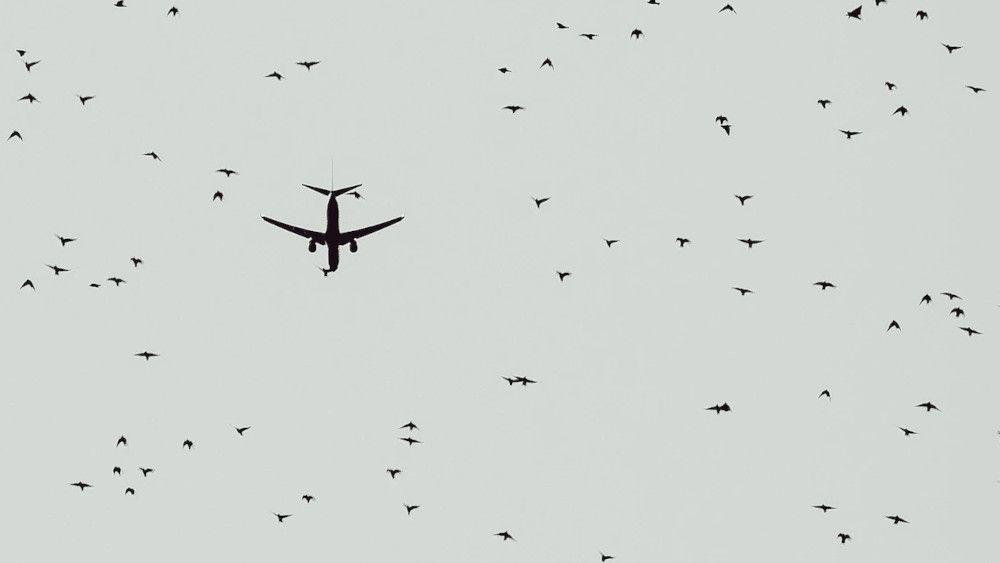 Zoran Rilak on LinkedIn: Minimize the downtime when migrating SQL ... Zoran Rilak on LinkedIn: Minimize the downtime when migrating SQL ...