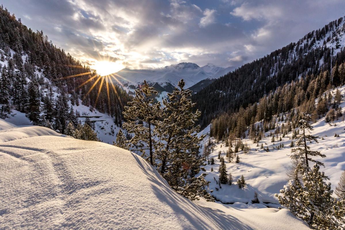 Michael Hartt on LinkedIn: Reflections from Davos: An Evolving Summit Michael Hartt on LinkedIn: Reflections from Davos: An Evolving Summit