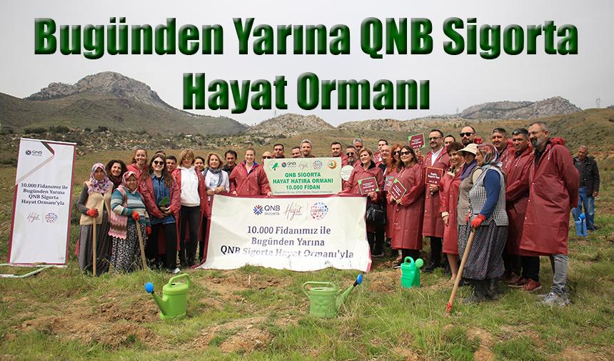 Sigortam News on LinkedIn: Bugünden Yarına QNB Sigorta Hayat Ormanı Sigortam News on LinkedIn: Bugünden Yarına QNB Sigorta Hayat Ormanı