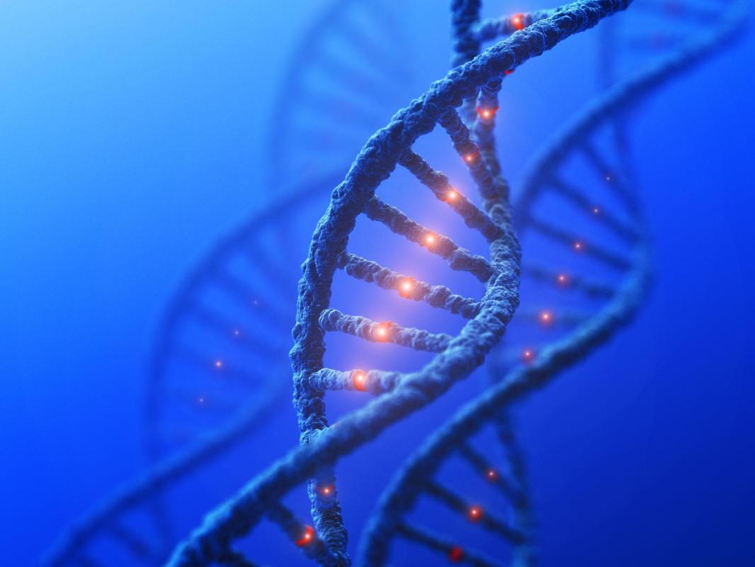 Dr E. Shyam P. Reddy on LinkedIn: New Research Uncovers Long-Lived DNA ... Dr E. Shyam P. Reddy on LinkedIn: New Research Uncovers Long-Lived DNA ...