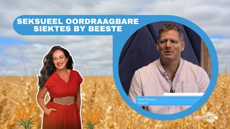 Geoff Brown on LinkedIn: Seksueel oordraagbare siektes by beeste ... Geoff Brown on LinkedIn: Seksueel oordraagbare siektes by beeste ...