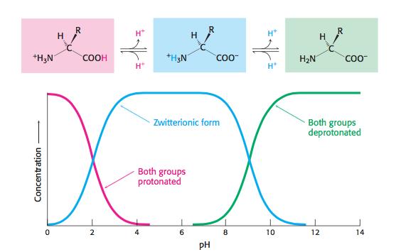 Michael Green on LinkedIn: LogP, LogD, pKa and LogS: A Physicists guide ... Michael Green on LinkedIn: LogP, LogD, pKa and LogS: A Physicists guide ...