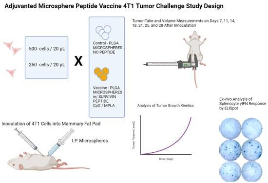 Rajni Kant Shukla,PhD on LinkedIn: Survivin (BIRC5) Peptide Vaccine in ... Rajni Kant Shukla,PhD on LinkedIn: Survivin (BIRC5) Peptide Vaccine in ...
