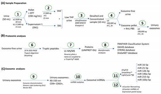 Juan José Nieto Fontarigo on LinkedIn: Urinary Proteome and Exosome ... Juan José Nieto Fontarigo on LinkedIn: Urinary Proteome and Exosome ...