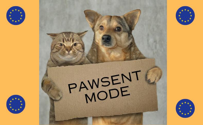 Jude Onyejekwe on LinkedIn: How To Integrate Google Consent Mode v2 ... Jude Onyejekwe on LinkedIn: How To Integrate Google Consent Mode v2 ...