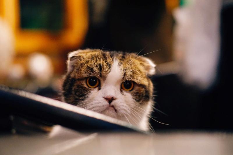 Azar Nasibov on LinkedIn: Interview: Can You Stop “forEach” in JavaScript? Azar Nasibov on LinkedIn: Interview: Can You Stop “forEach” in JavaScript?