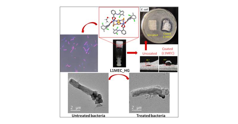 Sourabh Bera, Ph.D. on LinkedIn: Antibacterial Hydrogel as a Self-Drug ... Sourabh Bera, Ph.D. on LinkedIn: Antibacterial Hydrogel as a Self-Drug ...