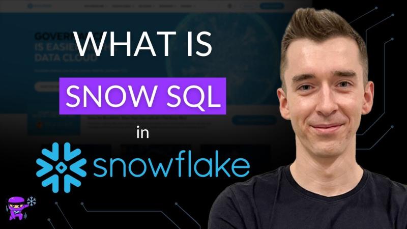 Sebastian Flak on LinkedIn: How to install, configure and use Snowflake ... Sebastian Flak on LinkedIn: How to install, configure and use Snowflake ...