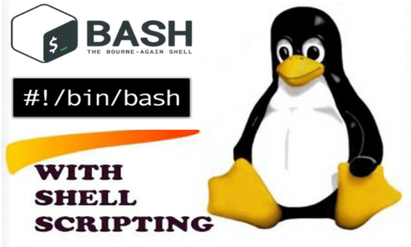 Nikul Kumar on LinkedIn: 🚀 Day 4 Task: Basic Linux Shell Scripting for ... Nikul Kumar on LinkedIn: 🚀 Day 4 Task: Basic Linux Shell Scripting for ...
