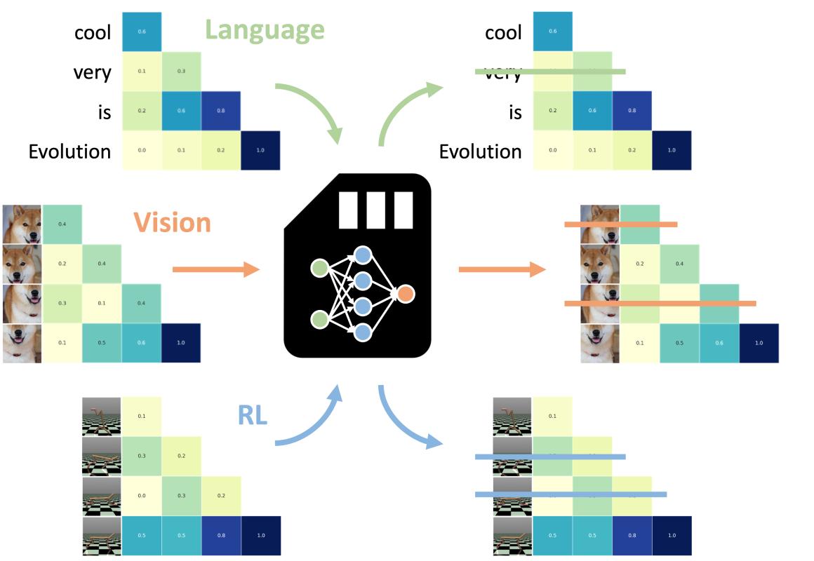 Papers with Code - An Evolved Universal Transformer Memory | Roan Caws Papers with Code - An Evolved Universal Transformer Memory | Roan Caws