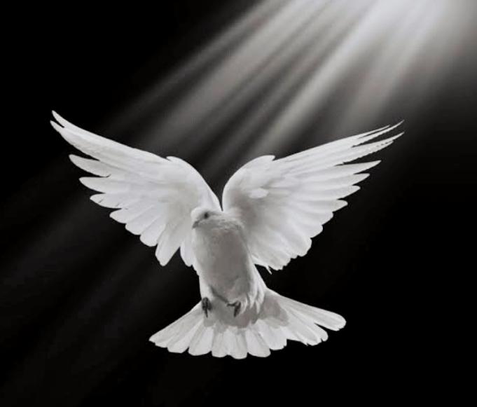 Kingdom Egejuru on LinkedIn: HAVE YOU BEEN CHANGED BY THE HOLY SPIRIT ... Kingdom Egejuru on LinkedIn: HAVE YOU BEEN CHANGED BY THE HOLY SPIRIT ...