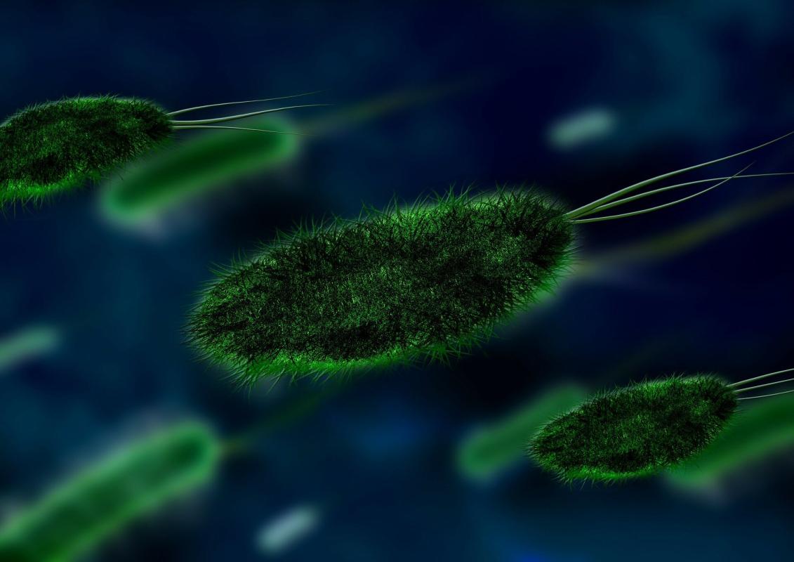 Yvonne Pinto on LinkedIn: Soil microbes help plants cope with drought ... Yvonne Pinto on LinkedIn: Soil microbes help plants cope with drought ...