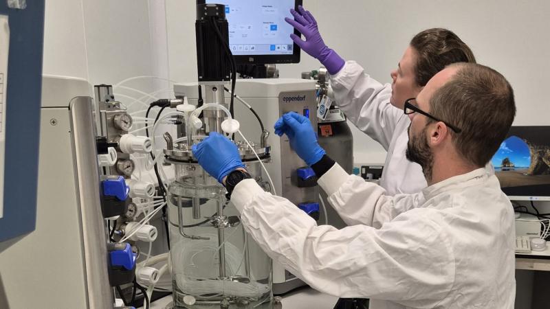 Pamela Chuey on LinkedIn: This government-backed startup is growing ... Pamela Chuey on LinkedIn: This government-backed startup is growing ...
