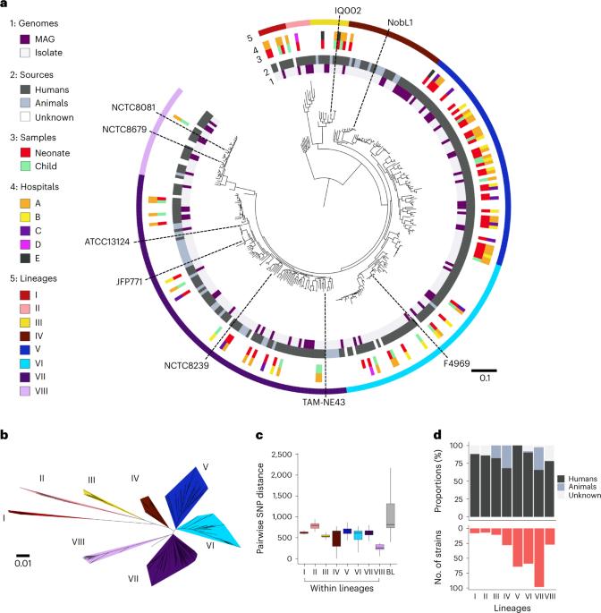 Particular genomic and virulence traits associated with preterm ... Particular genomic and virulence traits associated with preterm ...