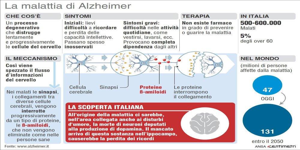 Raffaele Settimio on LinkedIn: Alzheimer: scoperto il meccanismo che ... Raffaele Settimio on LinkedIn: Alzheimer: scoperto il meccanismo che ...