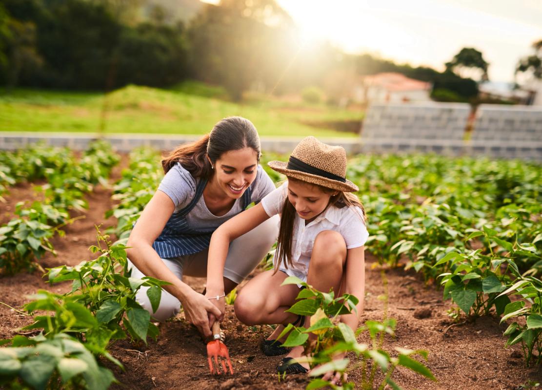 Contarea - Gestão e Contabilidade no LinkedIn: Jovens Agricultores e o ... Contarea - Gestão e Contabilidade no LinkedIn: Jovens Agricultores e o ...