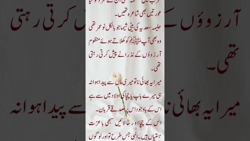 Sarfraz Khan on LinkedIn: Nau Umar Shema Ki Aap ﷺ K Leye Shahkar Lori ... Sarfraz Khan on LinkedIn: Nau Umar Shema Ki Aap ﷺ K Leye Shahkar Lori ...