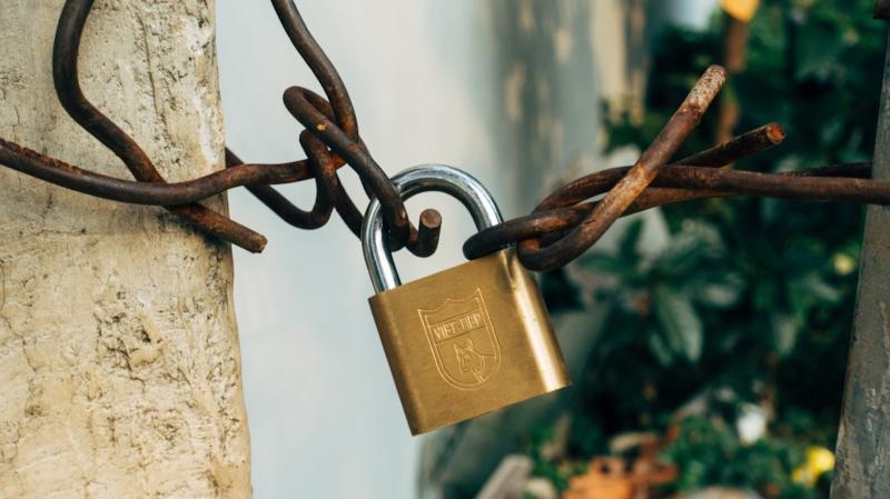 How to Reduce Benefits Fraud | Hans Willert How to Reduce Benefits Fraud | Hans Willert
