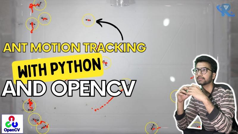 How to use Opencv and Python for ant motion tracking | Pyresearch ... How to use Opencv and Python for ant motion tracking | Pyresearch ...