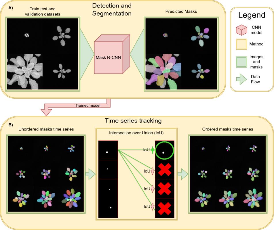 Federico Jurado Ruiz on LinkedIn: LeTra: a leaf tracking workflow based ... Federico Jurado Ruiz on LinkedIn: LeTra: a leaf tracking workflow based ...