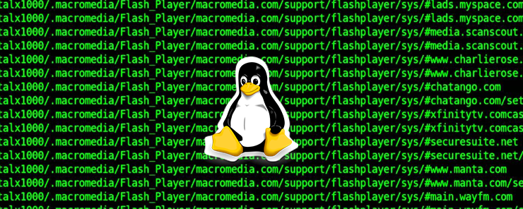 Varsha Verma ☁️ on LinkedIn: Shell Scripting Basics | 24 comments Varsha Verma ☁️ on LinkedIn: Shell Scripting Basics | 24 comments