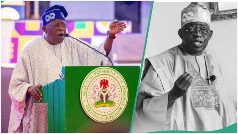 9jabrief on LinkedIn: BREAKING: Panic as Tinubu sacks major appointee ... 9jabrief on LinkedIn: BREAKING: Panic as Tinubu sacks major appointee ...