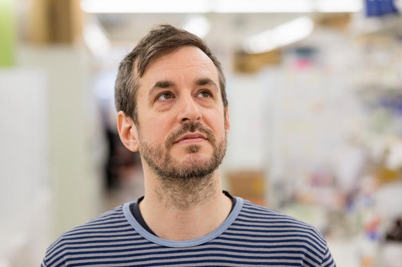 SciLifeLab on LinkedIn: SciLifeLab researchers take Nobel Prize-winning ... SciLifeLab on LinkedIn: SciLifeLab researchers take Nobel Prize-winning ...