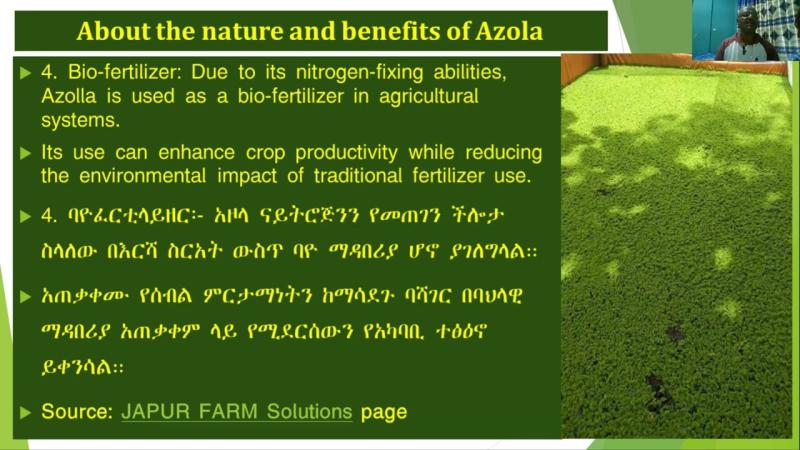 ስለ አዞላ ምንነት እና ጥቅምAbout the nature and benefits of Azola | Awol Mohammed ስለ አዞላ ምንነት እና ጥቅምAbout the nature and benefits of Azola | Awol Mohammed